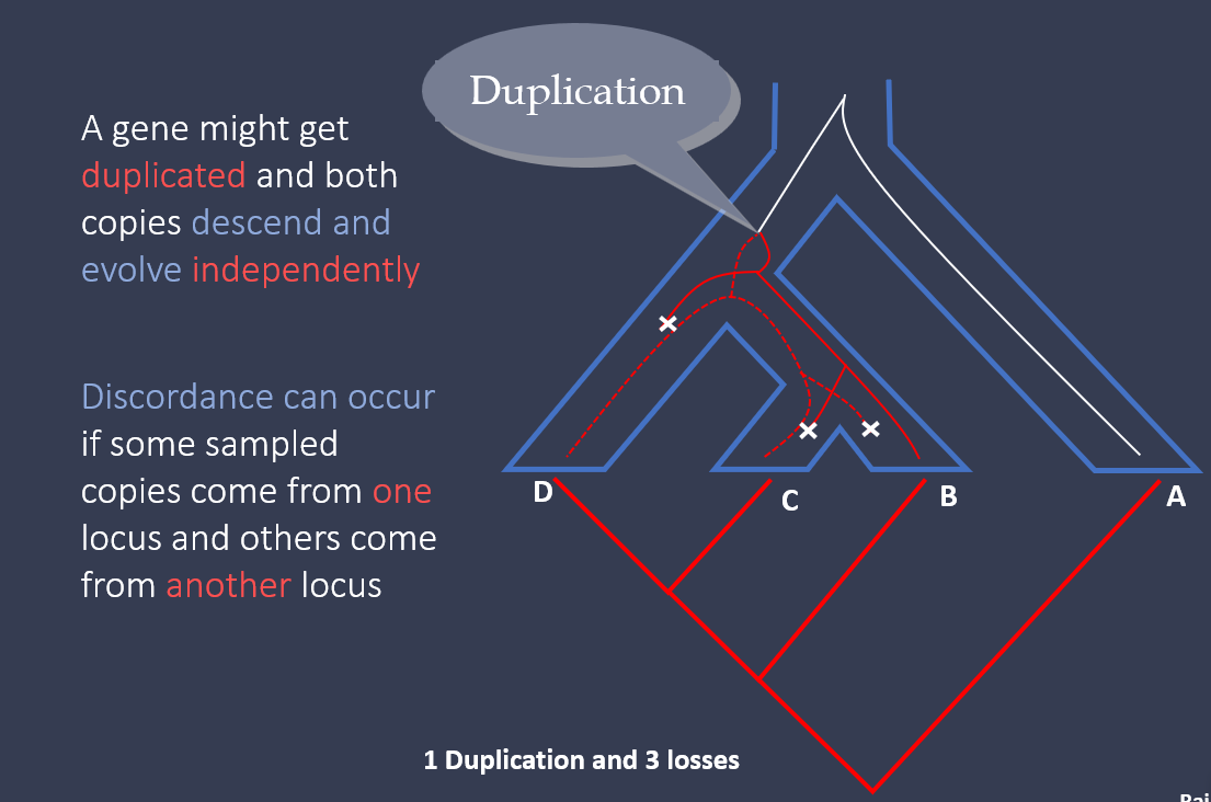 Introduction to Bioinformatics | Raihanul Alam Hridoy